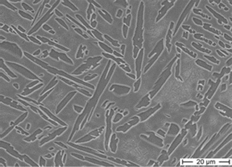 As Built Microstructure Consisting Of A β Matrix And Coarse αp And Download Scientific Diagram