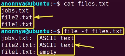 The “file” Command In Linux 9 Practical Examples Linuxsimply