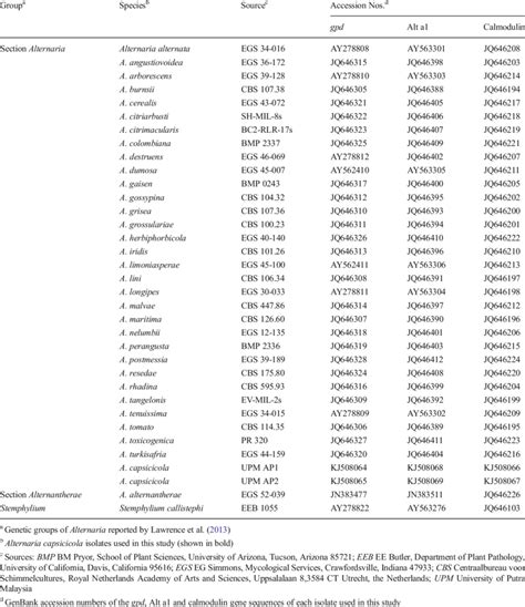Species Used For Phylogenetic Analyses Download Table