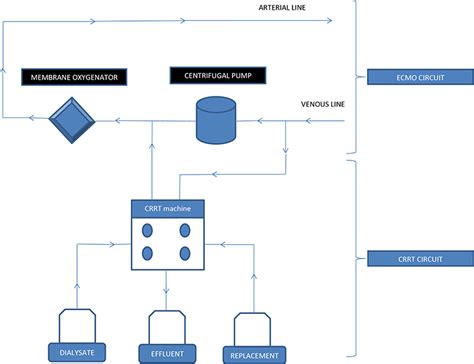 Archive Crrt Circuit On Ecmo