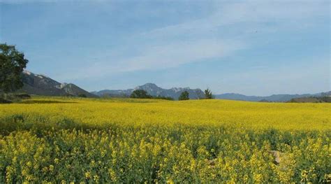 现代产业园区发展模式与引资策略