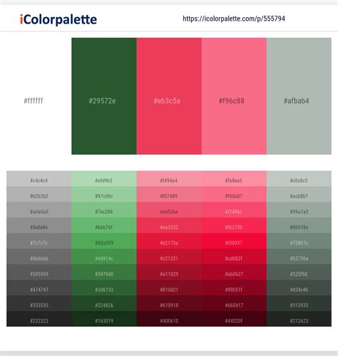 770 Latest Color Schemes With Amaranth Color Tone Combinations 2023 Icolorpalette
