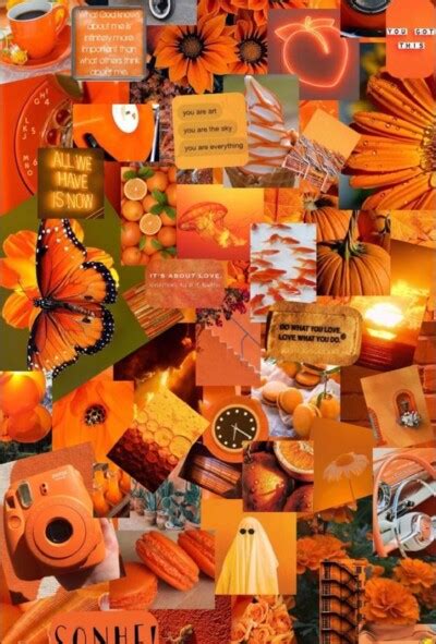 خلفيات باللون البرتقالي روعة Full Hd إمبراطورية الصور