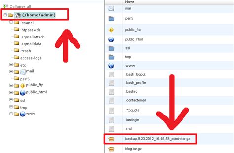 web hosting i can t find my backup for the cpanel in whm cpanel
