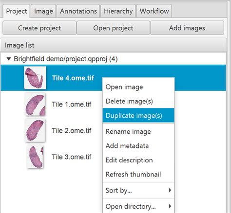 Analyzing Brightfield Images Pixel Classifier — Image Scientist