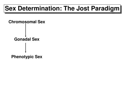 Ppt Animal Science 434 Reproductive Physiology Powerpoint Presentation Id5447773 Ppt Animal Science 434 Reproductive Physiology Powerpoint Presentation Id5447773