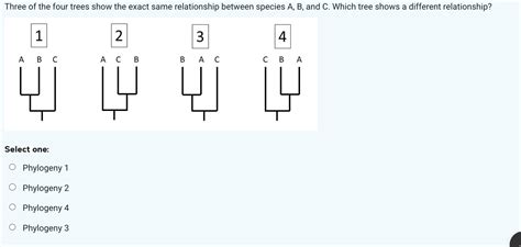 Select One Phylogeny 1 Phylogeny 2 Phylogeny 4