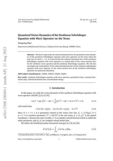 Pdf Quantized Vortex Dynamics Of The Nonlinear Schr Odinger Equation With Wave Operator On