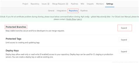 Gitlab允许开发人员推送到master分支gitlab Devloper 怎么push Master分支 Csdn博客