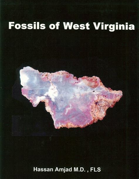 Fossils Of West Virginia Pages In Volumes Prehistoric Planet Store