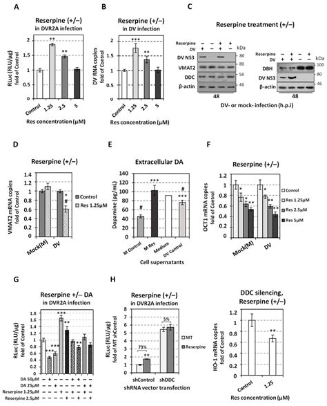 Effect Of Vmat Inhibitor Reserpine On Dv Replication Ag Huh7 Cells Download Scientific