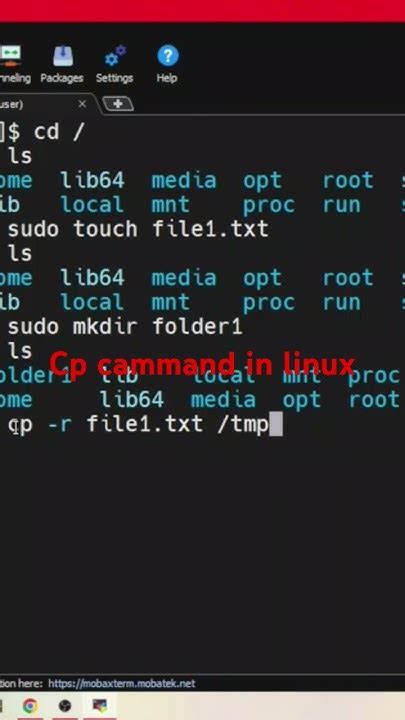 Cp Command In Linux Youtube