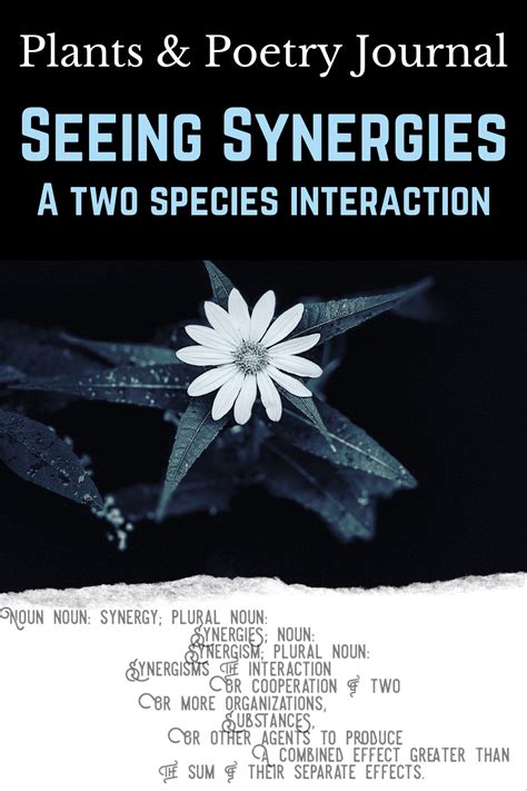 Eighth Issue Seeing Synergies A Two Species Interaction — Plants And Poetry