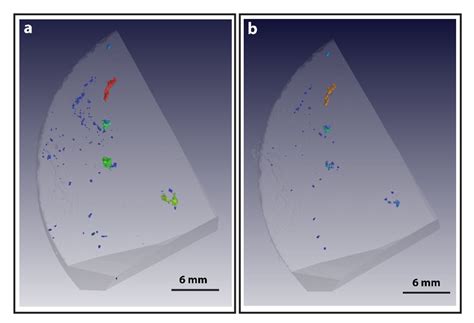 Ab Distribution Of Gold Grains In The Core After Segmenting Using A