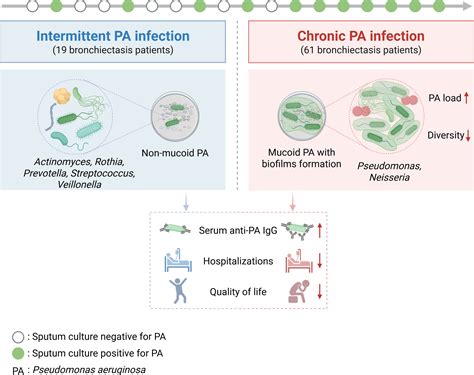 Rethinking Pseudomonas Aeruginosa In Bronchiectasis Archivos De Bronconeumología