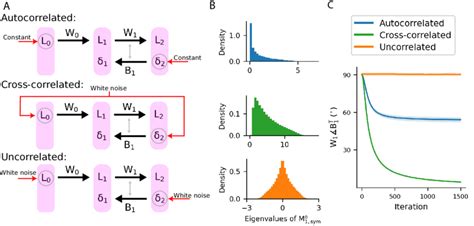 Weight Alignment Can Occur In The Absence Of Meaningful Input And Download Scientific Diagram