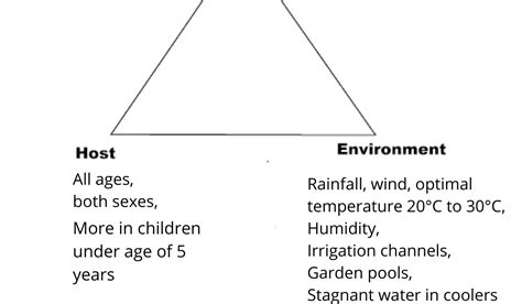 Malaria Symptoms Causes Pathophysiology Diagnosis Treatment And