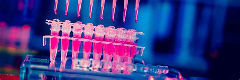 Whole Genome Sequencing Personalising Cancer Care Genomics