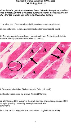 Required Practical 9 Bio Aqa A Level Required Practical 9 Investigation Into The Effect Of A