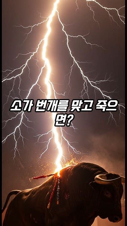 소가 번개를 맞고 죽으면 넌센스 아재개그 초성게임 퀴즈 Youtube