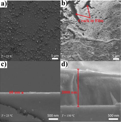 Top Down And Cross Section Scanning Electron Micrographs Of Deposits