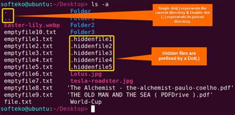 The Ls Command In Linux Practical Examples LinuxSimply