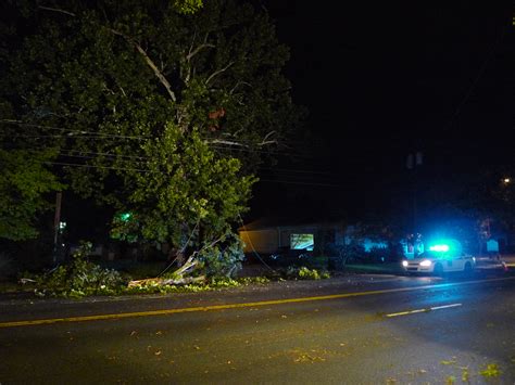 Lots Of Trees Columbia 2 June 2011 At Columbia Closings