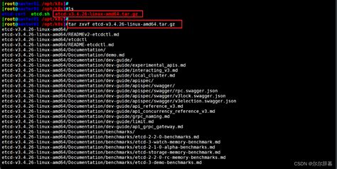 云原生 k8s 】二进制搭建 kubernetes v1 20 manager linux amd64 csdn博客