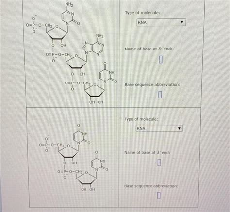 Solved For Each Molecule In The Table Below Classify The Chegg Com
