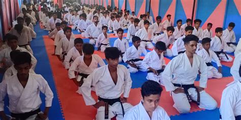 Standard Karate Mats