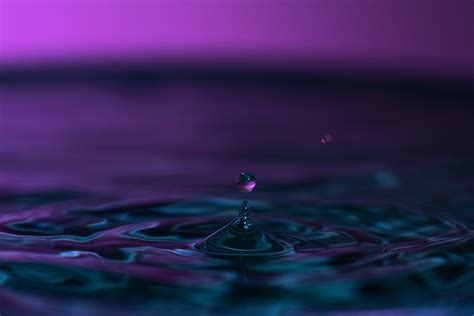 물 매크로 튀김 똑똑 떨어지는 물방울 Pixabay의 무료 사진 Pixabay