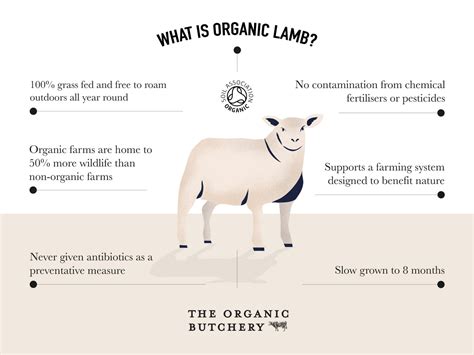 Organic Lamb Loin Chops The Organic Butchery