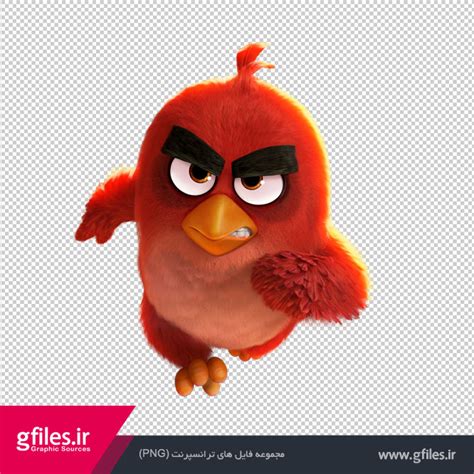 کاراکتر کارتونی انگری برد Angry Bird دوربری شده The Angry Birds