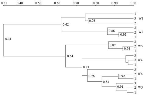 Cluster Analysis Unweighted Pair Group Method With Mathematical