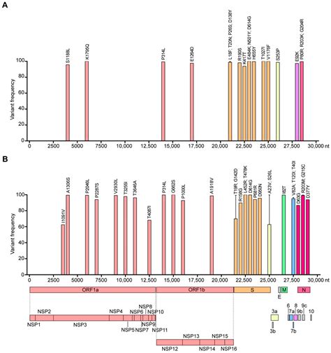 Introduction Dispersal And Predominance Of Sars Cov 2 Delta Variant