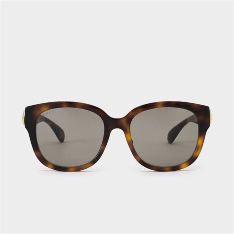 구찌 선글라스 Gg1409sk 004 Havana Brown 55사이즈 Gucci 핫선글라스