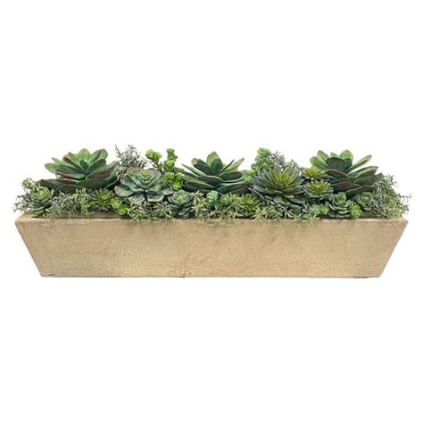 Succulent Arrangement In Rectangular Planters Succulents Succulent
