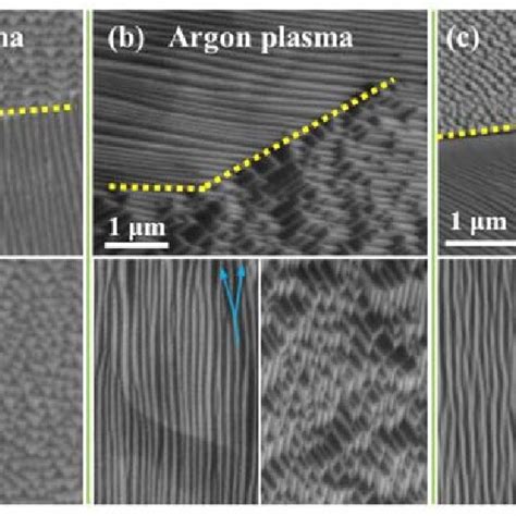 SEM Images Of Surface Morphologies Under Three Conditions A SEM Download Scientific Diagram