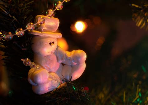 무료 이미지 남자 나무 분기 빛 보케 화이트 밤 사진술 꽃 명확한 얼음 빨간 구근 색깔 좌석 휴일 모자 푸른 교수형 노랑 크리스마스