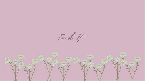 Fuck It Daisy Desktop Wallpaper Simple Cute Pink Daisy Flower