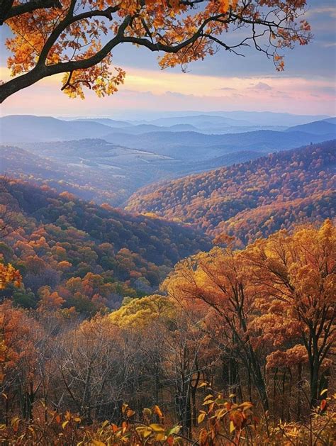 Pin By Colleen Wierzbic On Autumn Autumn Landscape Fall Pictures