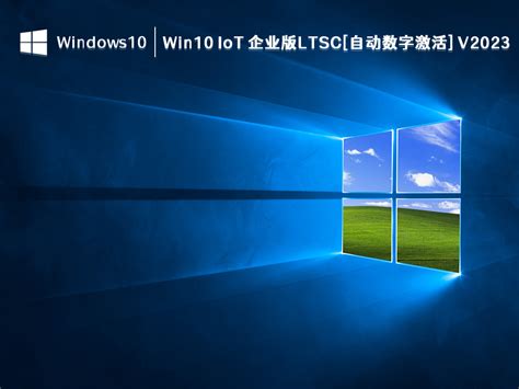 Win10 Iot 企业版ltsc下载 Win10 Iot 企业版ltsc[自动数字激活] V2023新版下载 纯净之家
