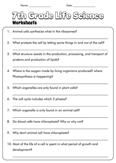 18 7th Grade Science Cells Worksheets 7th Grade Science Science