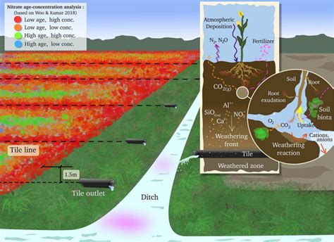 Illustration Of Nutrient Dynamics Influenced By Tile Drains Left And