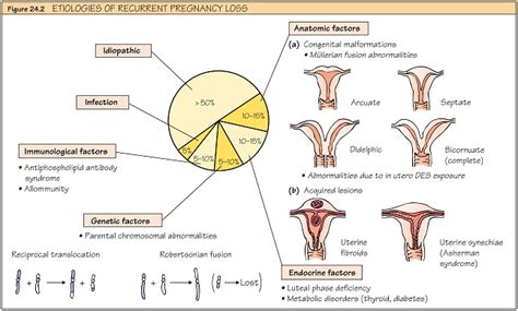 Norwitz Obstetrics And Gynaecology At A Glance