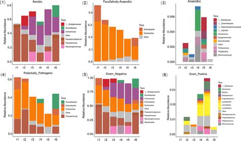 Bugbase Functional Analysis Of Genus Level Aerosol Bacteria In The Six