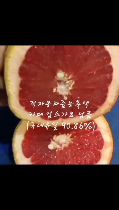 자몽에이드자몽차 자몽농축액 대추차 카페오픈 자몽주스 자몽청 자몽청만들기 자몽시럽 자몽청레시피 자몽베이스 자몽청추천 적자몽청 자몽청담는법 자몽청