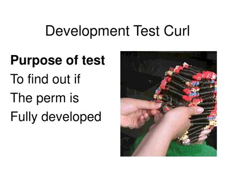 Ppt Development Test Curl Powerpoint Presentation Free Download Id 4013230
