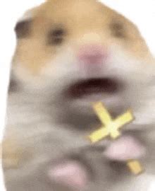 S De Hamster Tenor