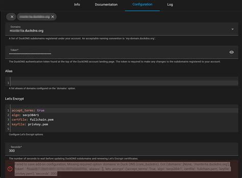New To Ha Duckdns Wont Save Failed To Save Add On Configuration Configuration Home